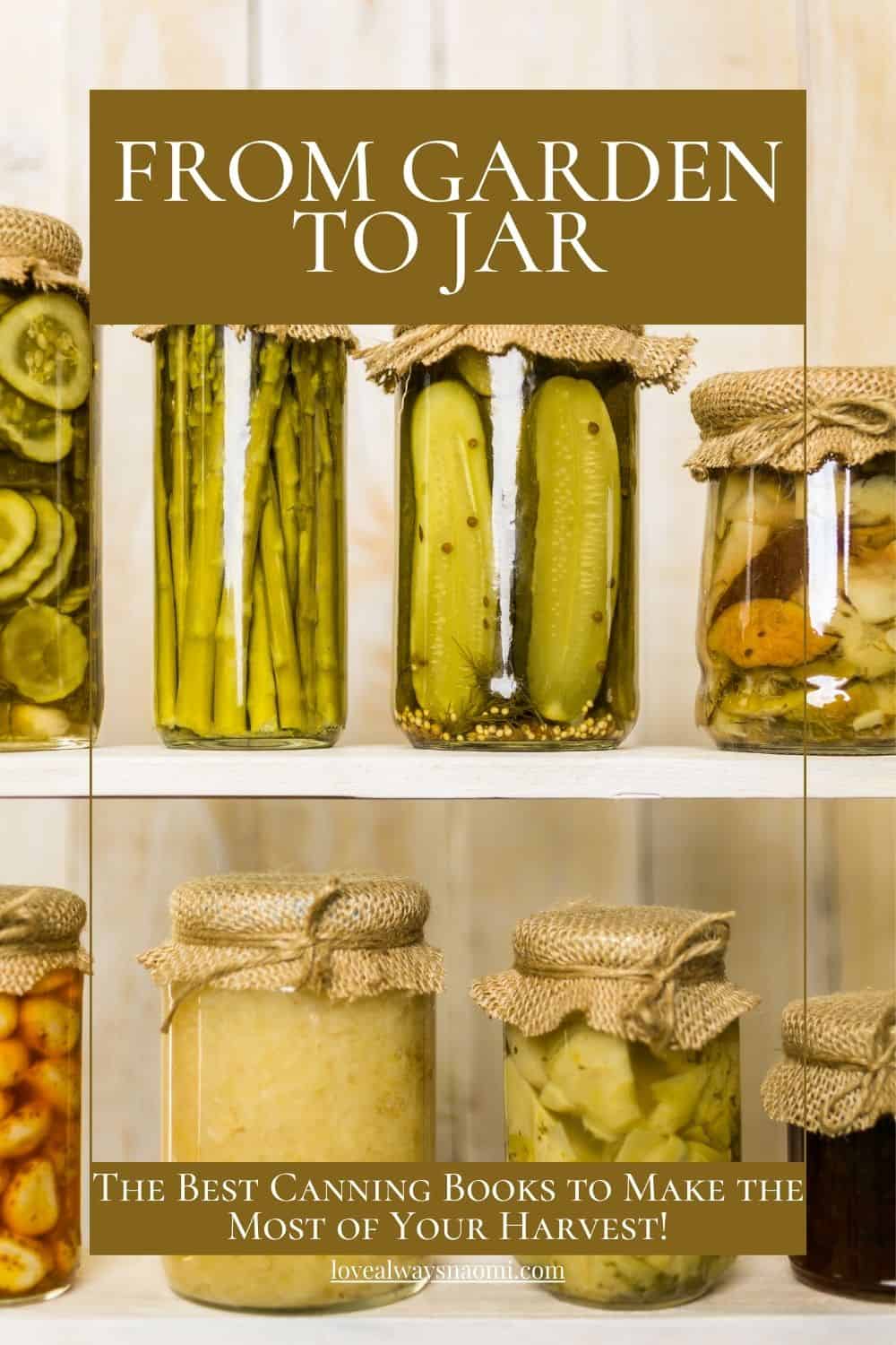 Top 10 Best Canning Books For Every Kitchen